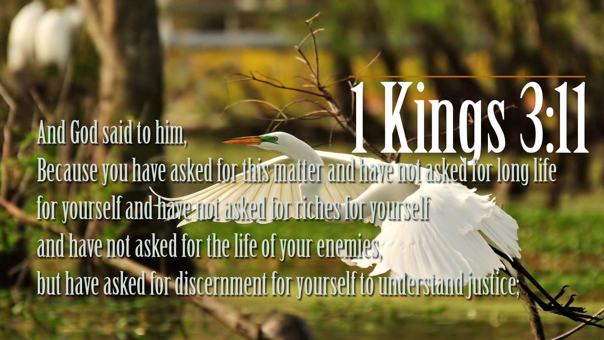 Servanthood Positions Prepares You For The Anointing Prophecology