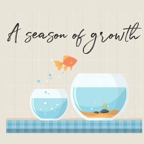 Benefits of Understanding Your Season of Growth