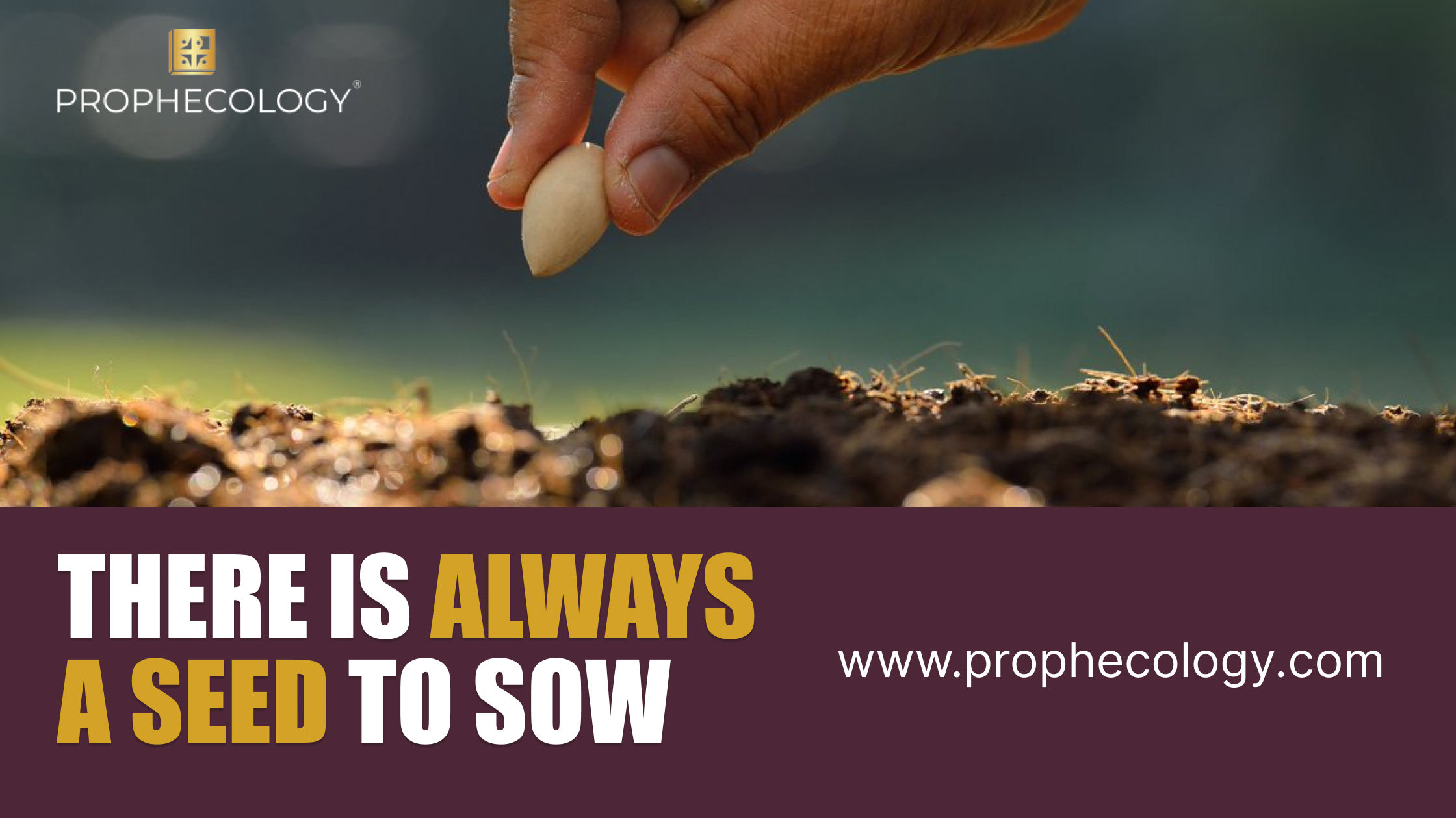 THERE IS ALWAYS A SEED TO SOW.