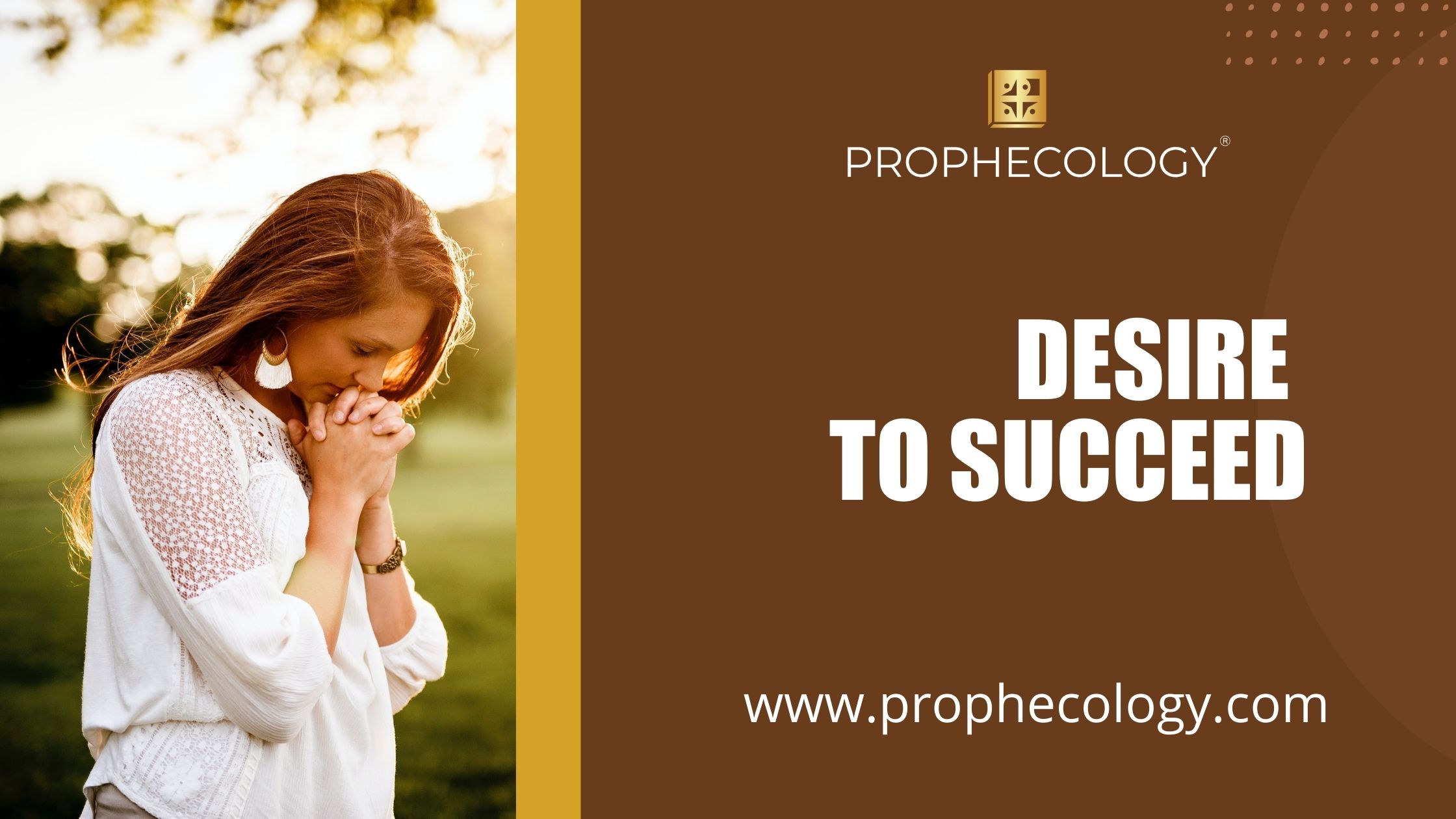 DESIRE TO SUCCEED